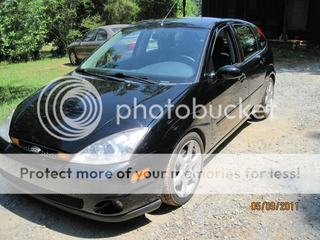 fresh clean 04 SVT | Focus Fanatics Forum