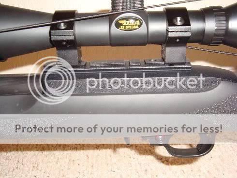 WTS - Ruger 10/22 VLEH 22LR Target/Tactical rifle | RugerForum.com ...