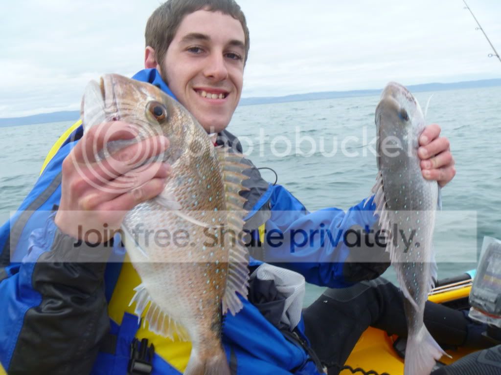 SA: Whyalla Snapper | Kayak and Fishing Forum
