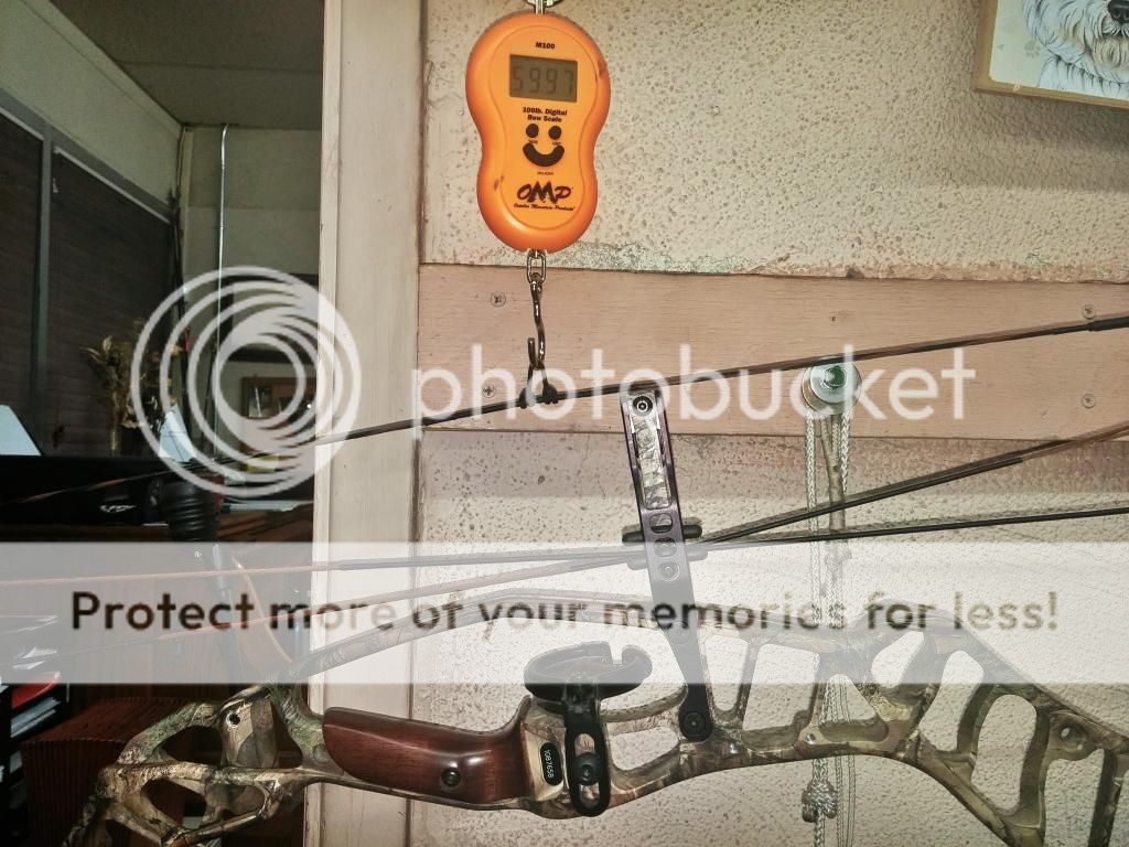 2014 Xcentric and 2015 Nitrum Turbo...First Impressions | Archery Talk ...