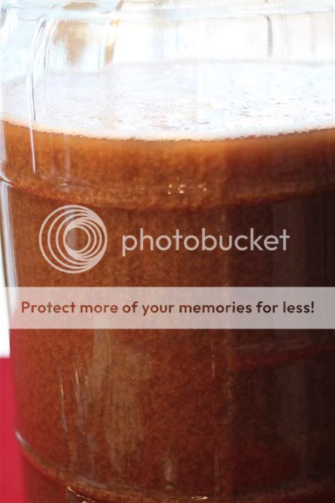 Brew Log - Mcmenamins Ruby Ale Clone | Homebrew Talk - Beer, Wine, Mead ...